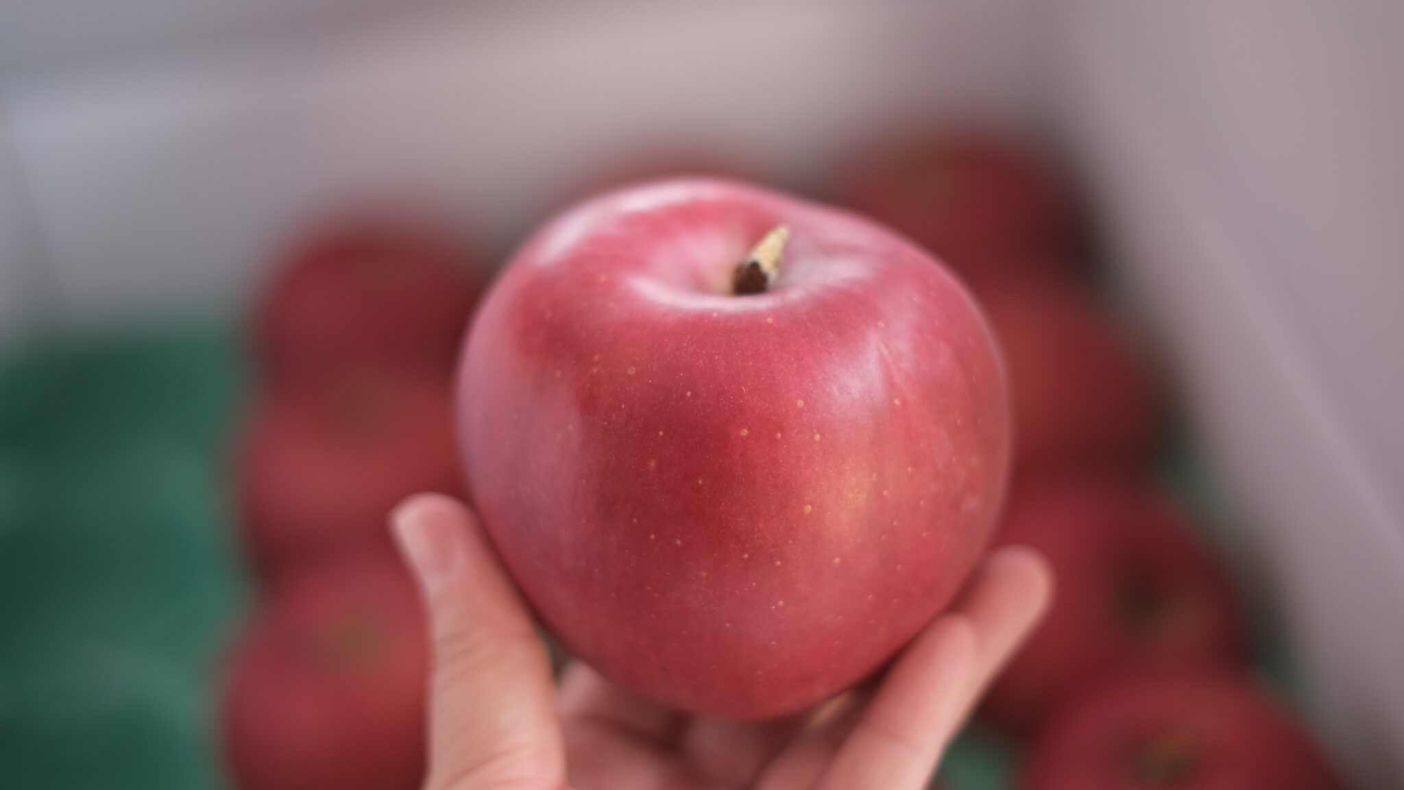 menu - kura 倉 cafe